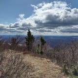 Mount Shaw and Black Snout, New Hampshire - 554 Reviews, Map | AllTrails