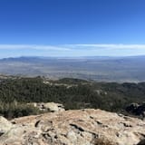 Rincon Peak Trail, Arizona - 159 Reviews, Map | AllTrails