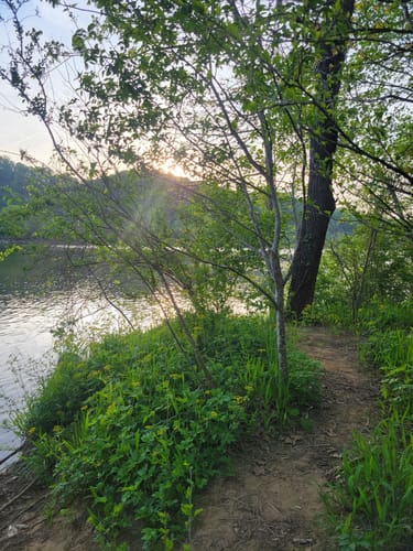 Best Hikes and Trails in Bells Bend Park | AllTrails