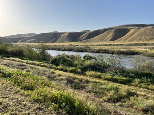 Best Hikes and Trails in Kern County Park | AllTrails