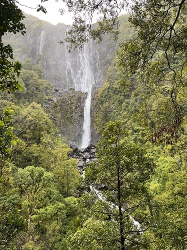 2023 Best Waterfall Trails in Kaimai Mamaku Conservation Park | AllTrails
