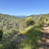 Moore Creek Trail, California - 586 Reviews, Map | AllTrails