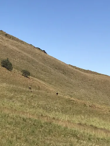 Best Hikes and Trails in Mount Currie Nature Reserve | AllTrails