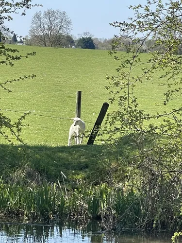 Best Backpacking Trails in Henley-in-Arden | AllTrails