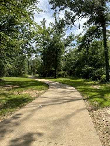 Best Hikes and Trails in Longview | AllTrails