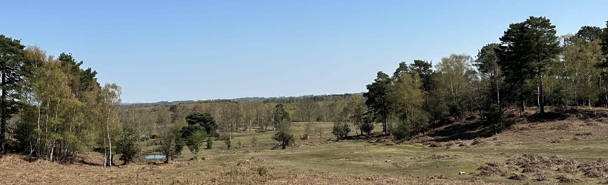 Half Moon and Warren Hill Circular: 14 Reviews, Map - Hampshire ...