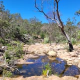 Waterfall Creek and Utopia Falls Track, Queensland, Australia - 64 ...