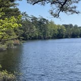 Cape Henry Trail, Virginia - 553 Reviews, Map | AllTrails
