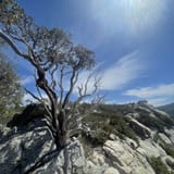 Eagle Crag via Agua Tibia Loop, California - 45 Reviews, Map | AllTrails