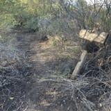 Eagle Crag via Agua Tibia Loop, California - 45 Reviews, Map | AllTrails