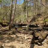Nine Penny Branch Loop, Indiana - 551 Reviews, Map | AllTrails