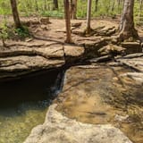 Nine Penny Branch Loop, Indiana - 551 Reviews, Map | AllTrails