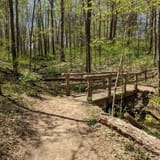 Nine Penny Branch Loop, Indiana - 551 Reviews, Map | AllTrails