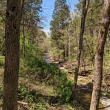 Nine Penny Branch Loop, Indiana - 551 Reviews, Map | AllTrails