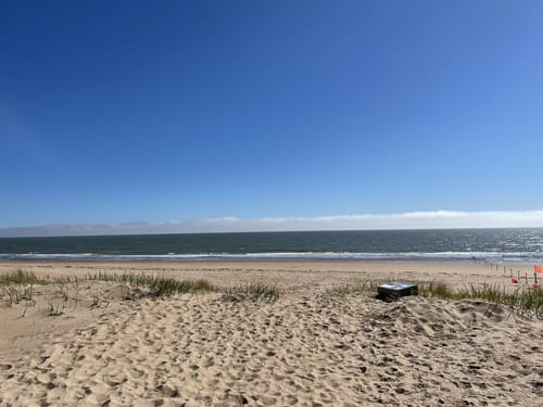 Best Hikes and Trails in Forvie National Nature Reserve | AllTrails