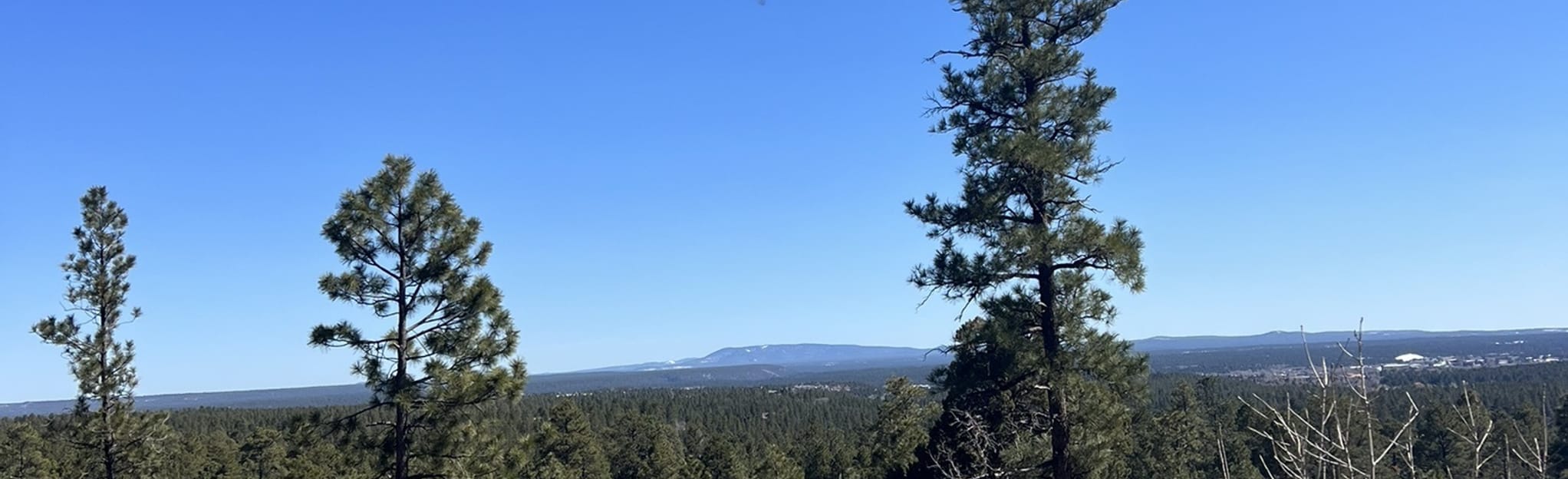 Rocky Ridge Trail: 173 Reviews, Map - Arizona | AllTrails