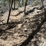 Sandys Canyon Trail, Arizona - 1,144 Reviews, Map | AllTrails