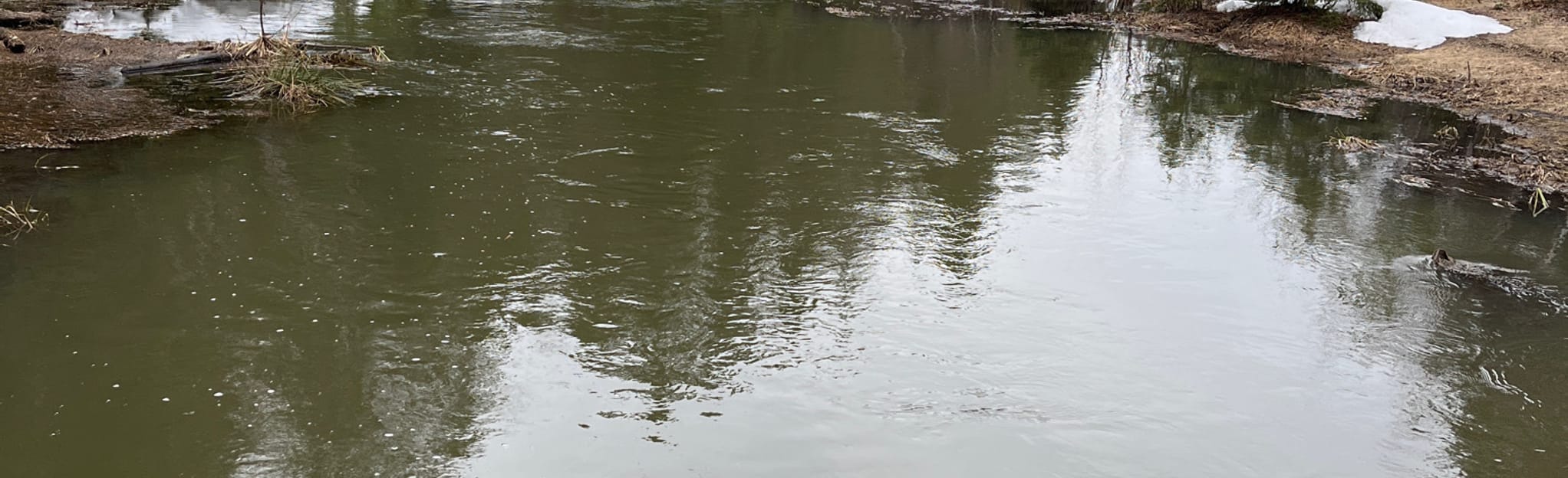 Sentiers du Lac Rouyn via Ours, Marmotte, & Cerf: 17 Reviews, Map ...