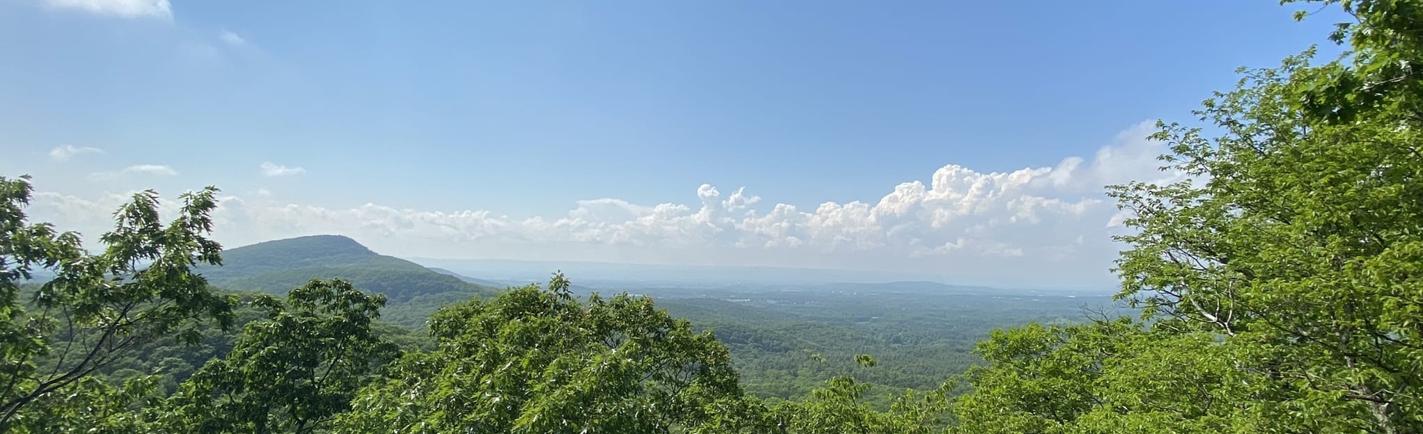 Long Mountain Summit: 541 Reviews, Map - Massachusetts | AllTrails