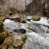 Greer Spring Trail, Missouri - 326 Reviews, Map | AllTrails