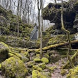 Greer Spring Trail, Missouri - 326 Reviews, Map | AllTrails