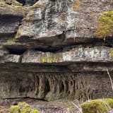 Greer Spring Trail, Missouri - 326 Reviews, Map | AllTrails