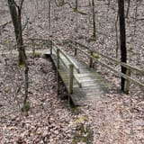 Greer Spring Trail, Missouri - 298 Reviews, Map | AllTrails