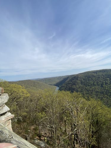 2023 Best Easy Trails in Coopers Rock State Forest | AllTrails