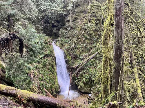 Best River Trails in Sechelt | AllTrails