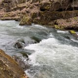Greer Spring Trail, Missouri - 326 Reviews, Map | AllTrails