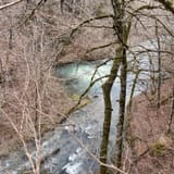 Greer Spring Trail, Missouri - 326 Reviews, Map | AllTrails