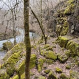 Greer Spring Trail, Missouri - 326 Reviews, Map | AllTrails