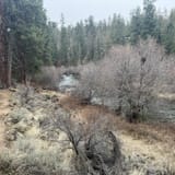 Riley Ranch Trails, Oregon - 391 Reviews, Map | AllTrails