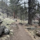 Riley Ranch Trails, Oregon - 391 Reviews, Map | AllTrails