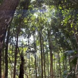 Boomerang Falls, New South Wales, Australia - 32 Reviews, Map | AllTrails