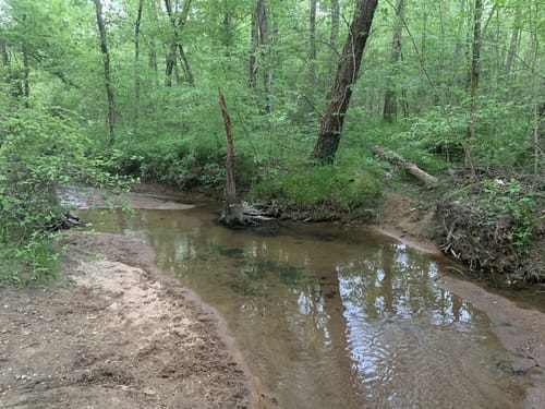 Best Hikes and Trails in Deep Run Park | AllTrails