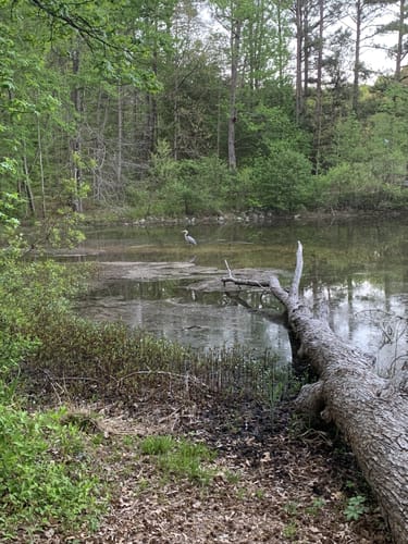 Best Hikes and Trails in Deep Run Park | AllTrails