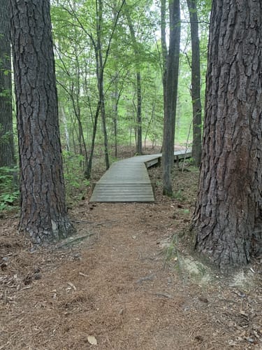 Best Hikes and Trails in Deep Run Park | AllTrails