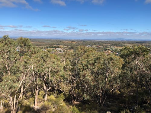 2023 Best Forest Trails in Heathcote Graytown National Park | AllTrails