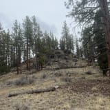 Riley Ranch Trails, Oregon - 391 Reviews, Map | AllTrails