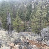 Riley Ranch Trails, Oregon - 391 Reviews, Map | AllTrails