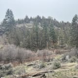 Riley Ranch Trails, Oregon - 391 Reviews, Map | AllTrails