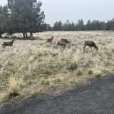 Riley Ranch Trails, Oregon - 391 Reviews, Map | AllTrails