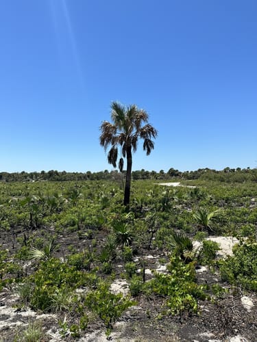 Best Hikes and Trails in Shamrock Park and Nature Center | AllTrails