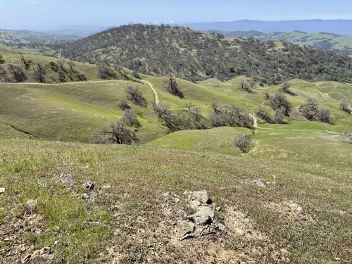 10 Best Trails and Hikes in Mount Hamilton | AllTrails