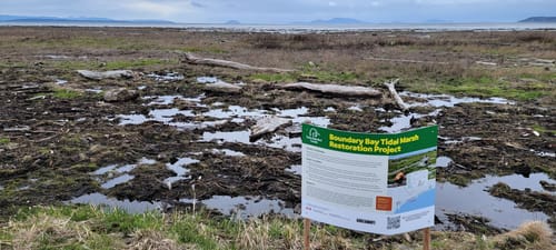 Best Hikes and Trails in Mud Bay Park | AllTrails