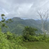 Mount 'Alava Trail, Tutuila, American Samoa - 33 Reviews, Map | AllTrails