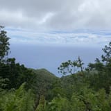 Mount 'Alava Trail, Tutuila, American Samoa - 33 Reviews, Map | AllTrails