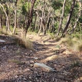 Burchell Trail: Full Route, Victoria, Australia - 23 Reviews, Map ...