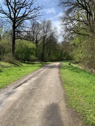 Best Hikes and Trails in Forêt communale de Hirson | AllTrails